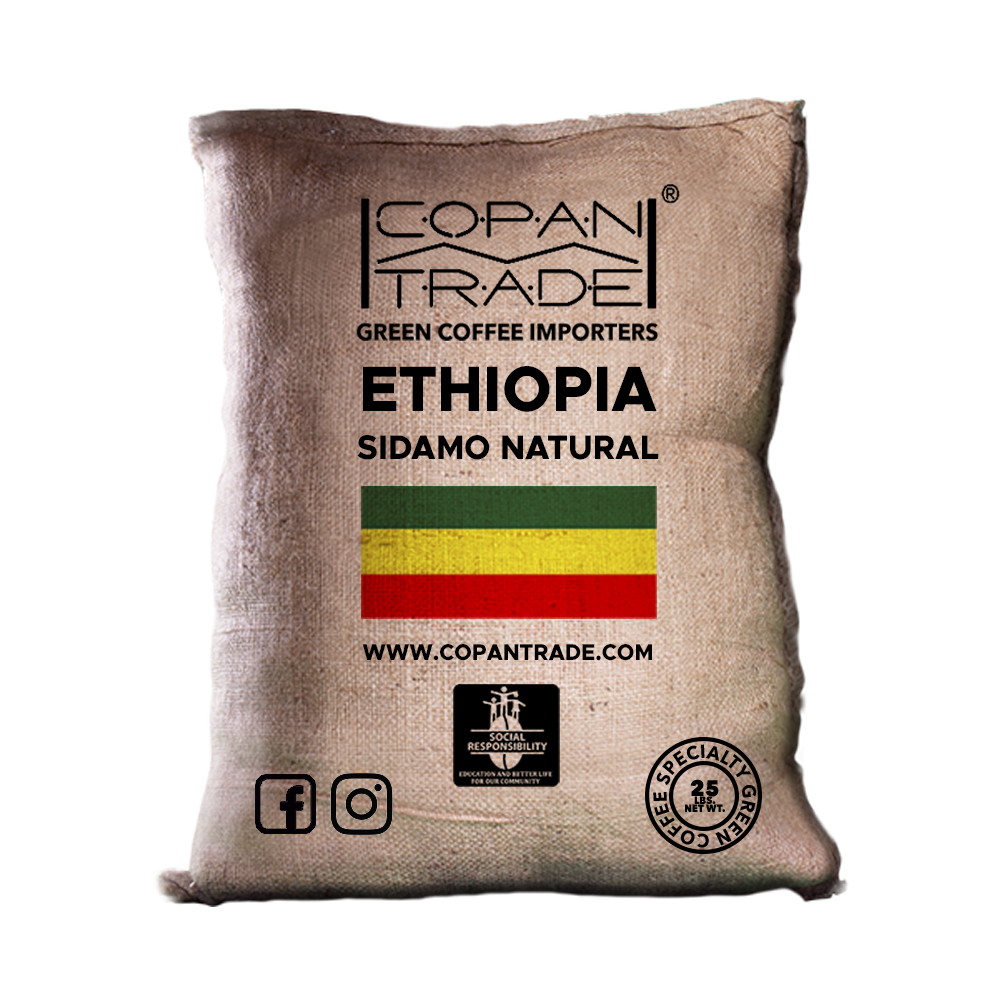 ETHIOPIA SIDAMO NATURAL G4